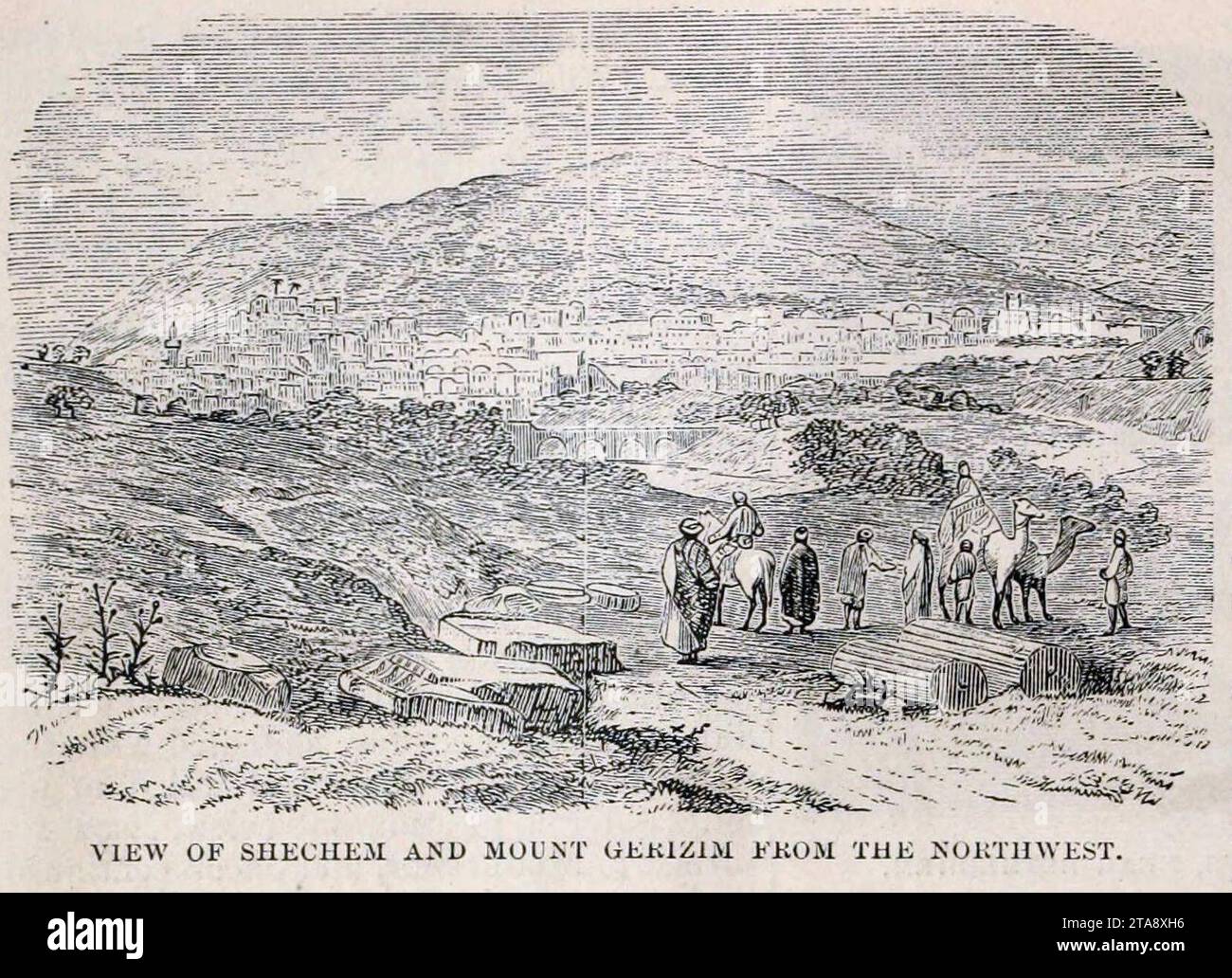 View of Shechem and mount Gerizim from north west Stock Photo - Alamy
