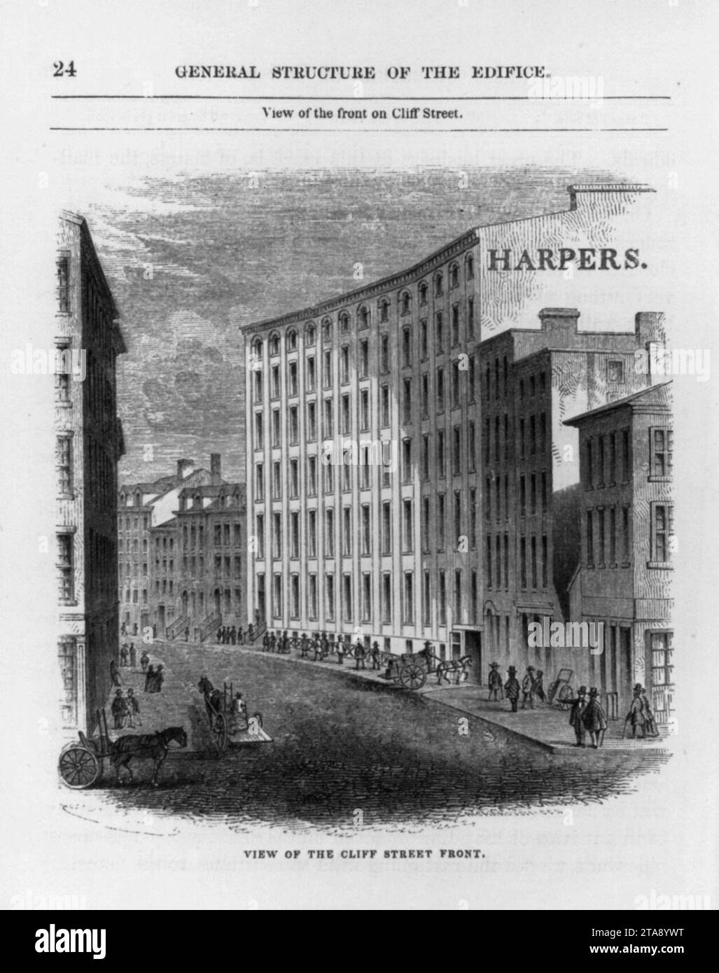 View of the Cliff Street front Stock Photo - Alamy