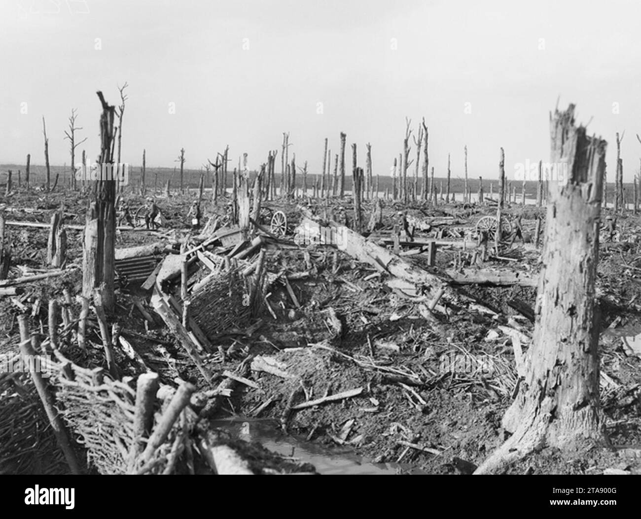 View of the devastated Chateau Wood and Bellewaarde Lake, October 1917 ...