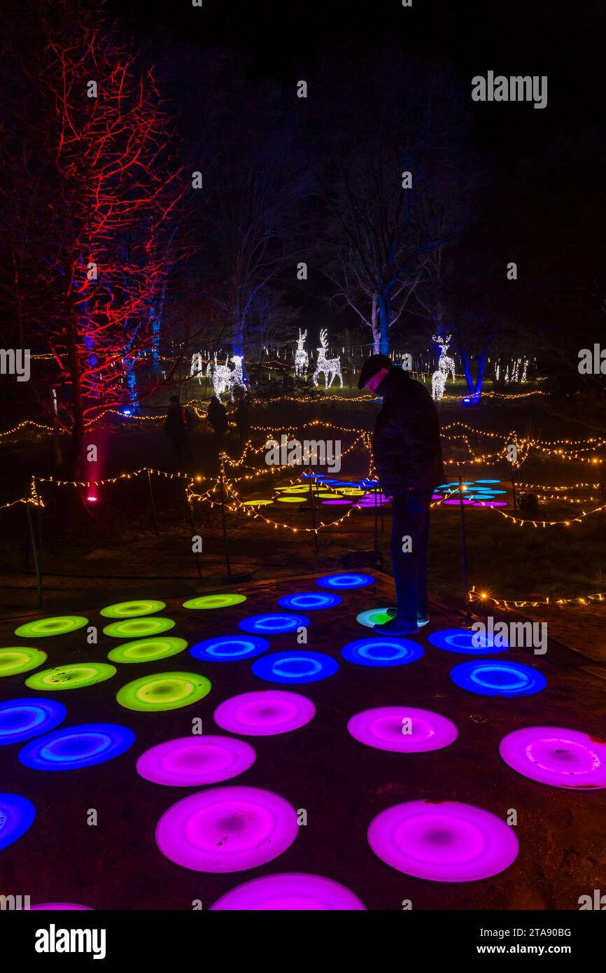 Romsey, Hampshire UK. 29th November 2023. Preview evening of Light Up ...