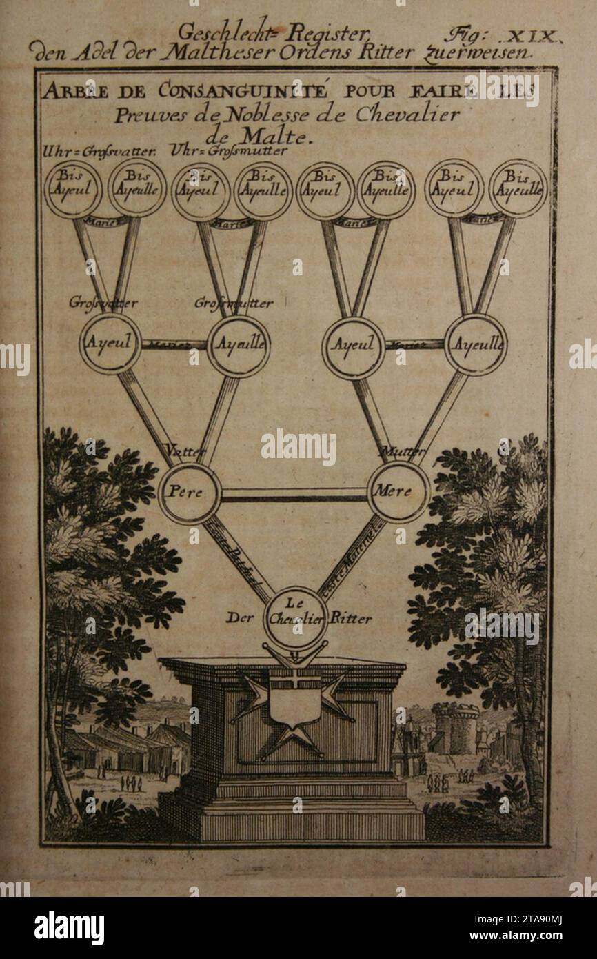 View of the lineage of the Chevalier of Malta, 1685 Stock Photo - Alamy