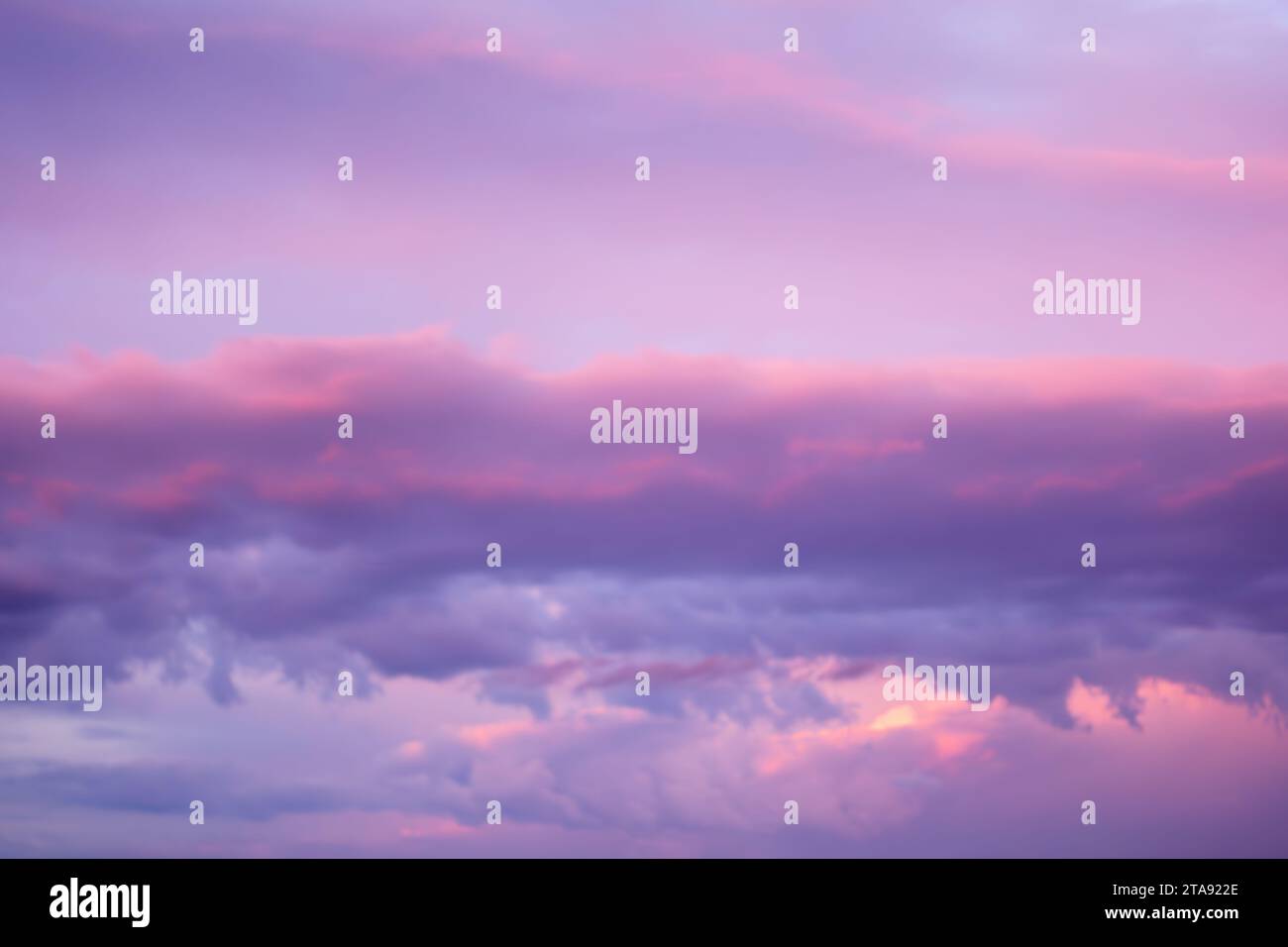 Sunset dramatic with beautiful layer of pastel violet clouds sky ...