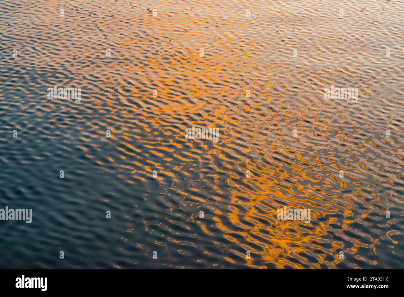 Oquaga Lake surface at sunset, New York, USA Stock Photo - Alamy