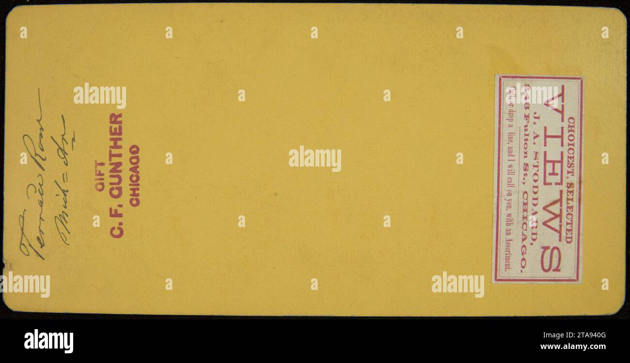 Views in Chicago & Vicinity before and after the Fire, Michigan Avenue ...