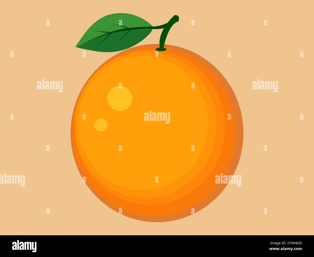 Delicious fresh A big Orange fruit vector illustration isolated ...
