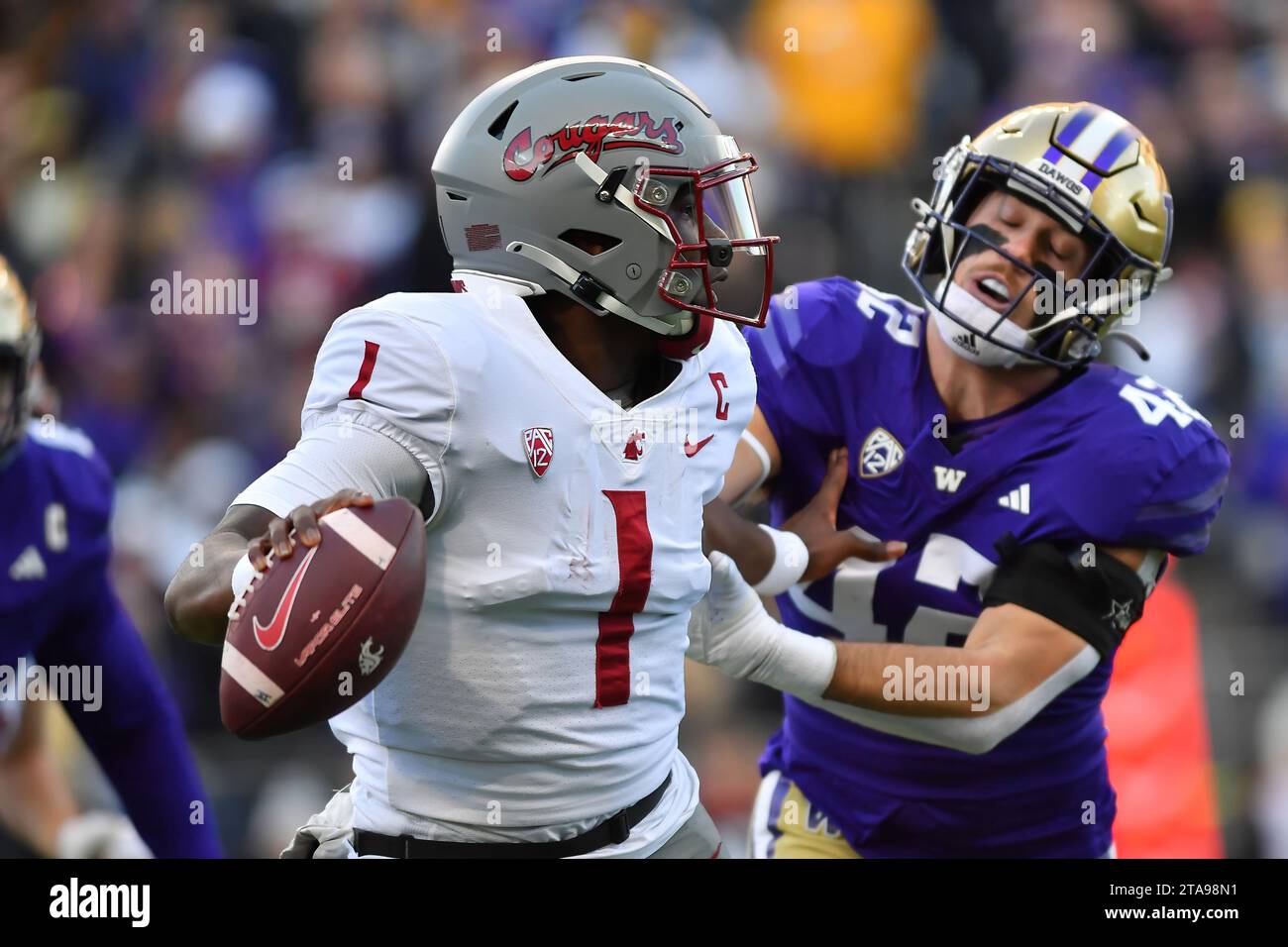 Seattle, WA, USA. 25th Nov, 2023. Washington State Cougars quarterback ...