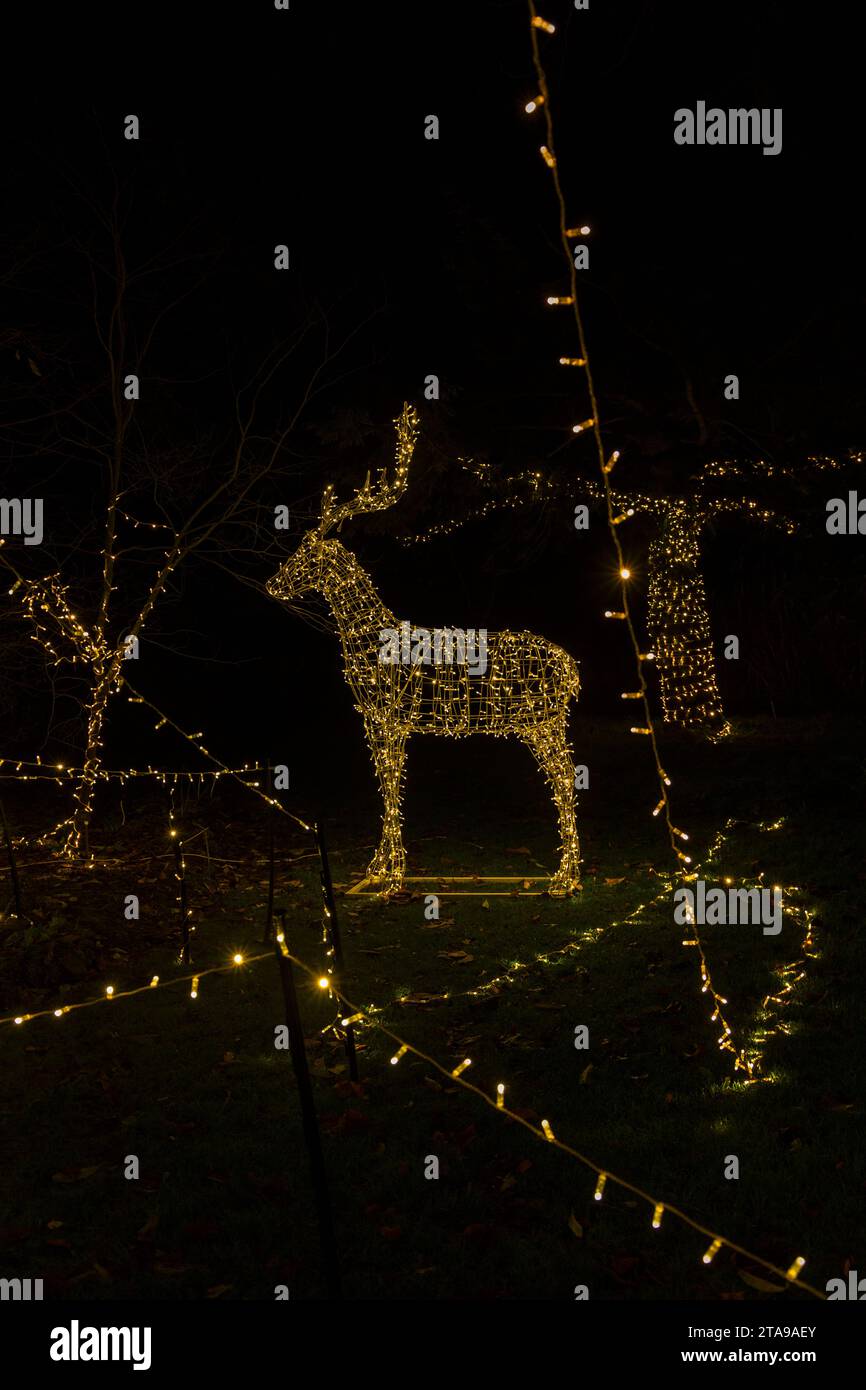Romsey, Hampshire UK. 29th November 2023. Preview evening of Light Up ...