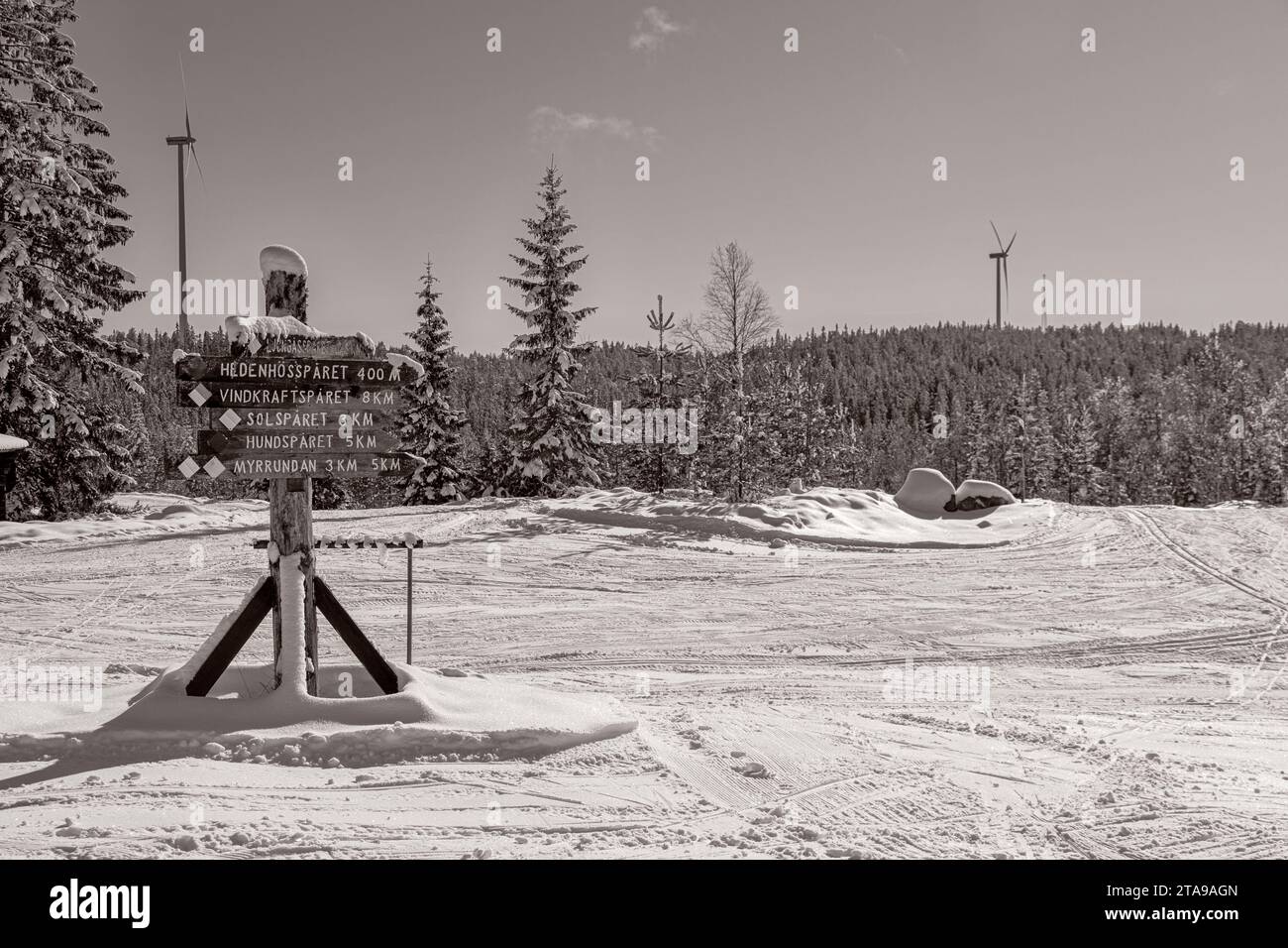 An outdoor winter scene featuring two signs in the snow with a backdrop ...