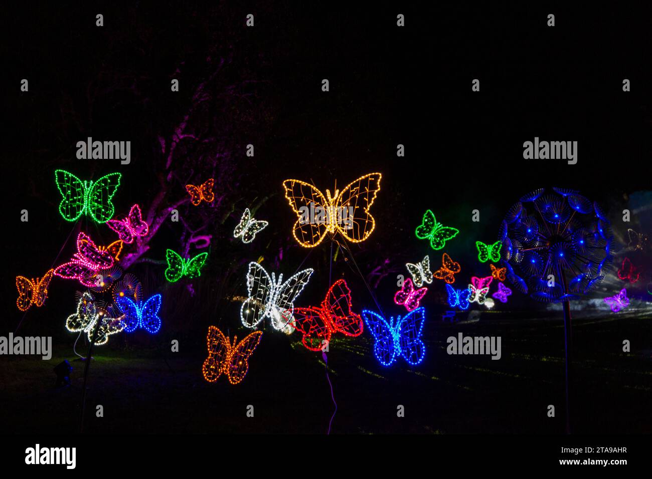 Romsey, Hampshire UK. 29th November 2023. Preview evening of Light Up ...