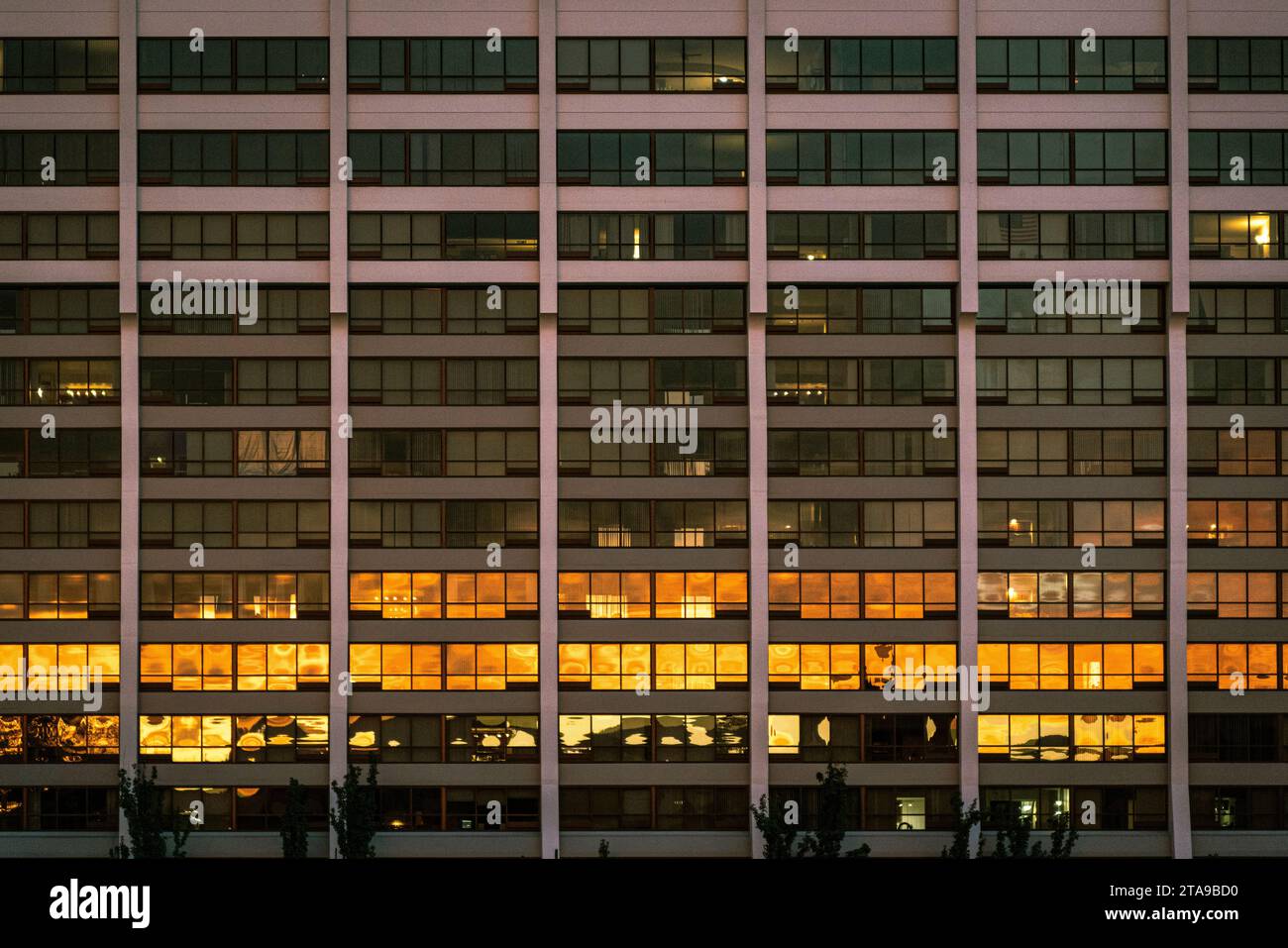 A modern high-rise building illuminated at night, surrounded by lush ...