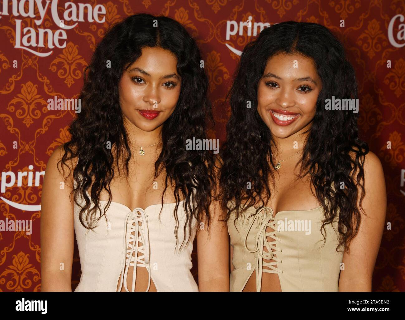 LOS ANGELES, CALIFORNIA - NOVEMBER 28: (L-R) Mirabelle Lee and Anais ...