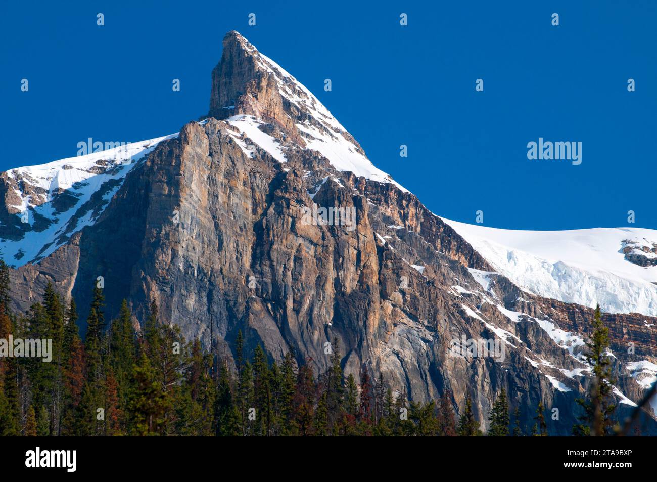 President Range from Emerald Lake, Yoho National Park, British Columbia ...