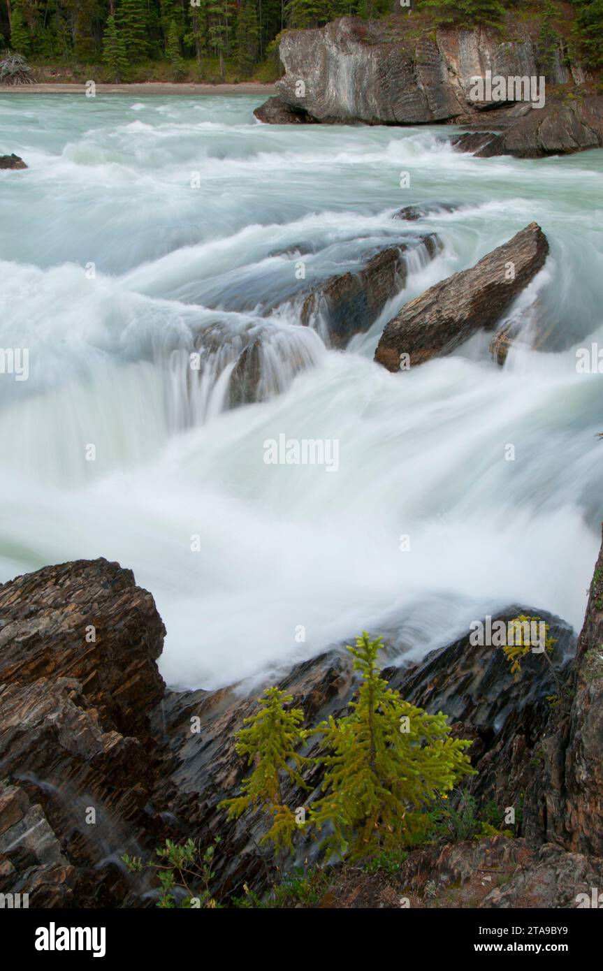 Kicking Horse River, Yoho National Park, British Columbia, Canada Stock ...