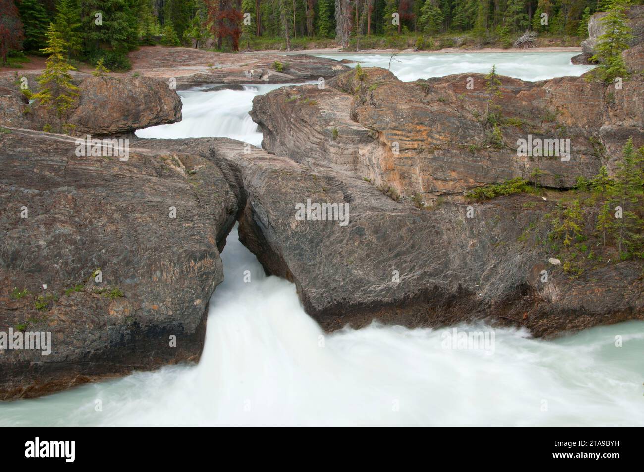Natural Bridge along Kicking Horse River, Yoho National Park, British ...