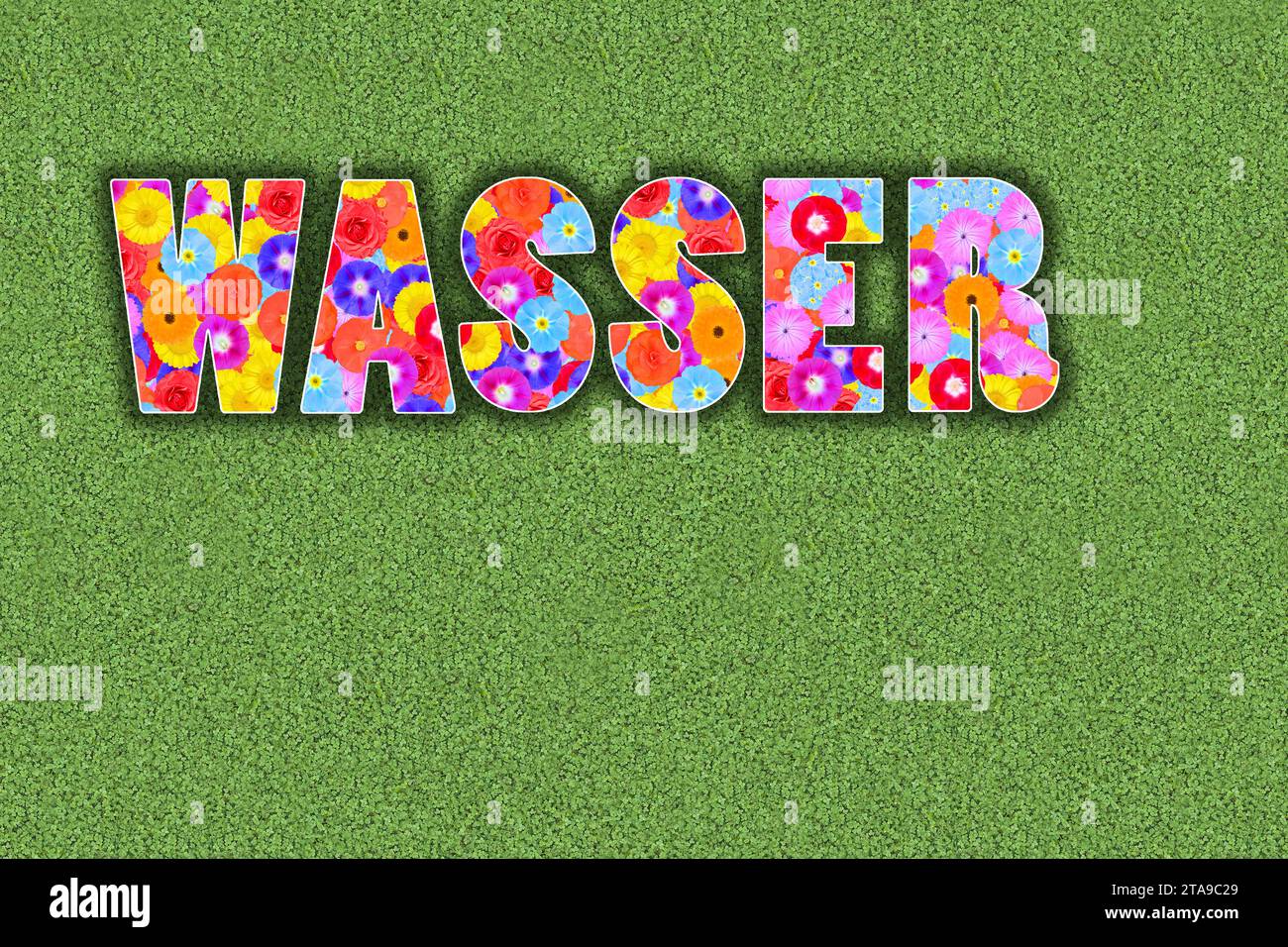 german word Wasser (water) written with flowers as symbol of clean ...