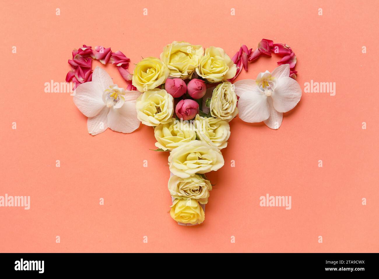 Uterus made of beautiful flowers on orange background Stock Photo - Alamy
