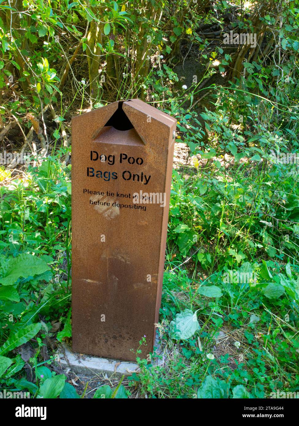 Bags for poo hi-res stock photography and images - Alamy