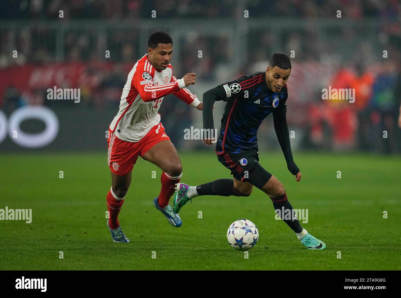 Elias achouri hi-res stock photography and images - Alamy