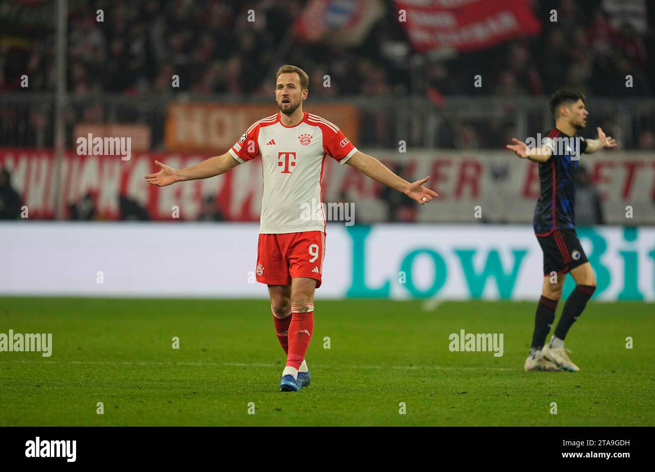 Harry kane bayern munich 2023 hi-res stock photography and images - Alamy