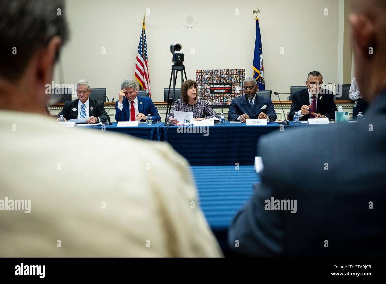 Washington, USA. 29th Nov, 2023. Representative Kathy Manning (D-N.C ...
