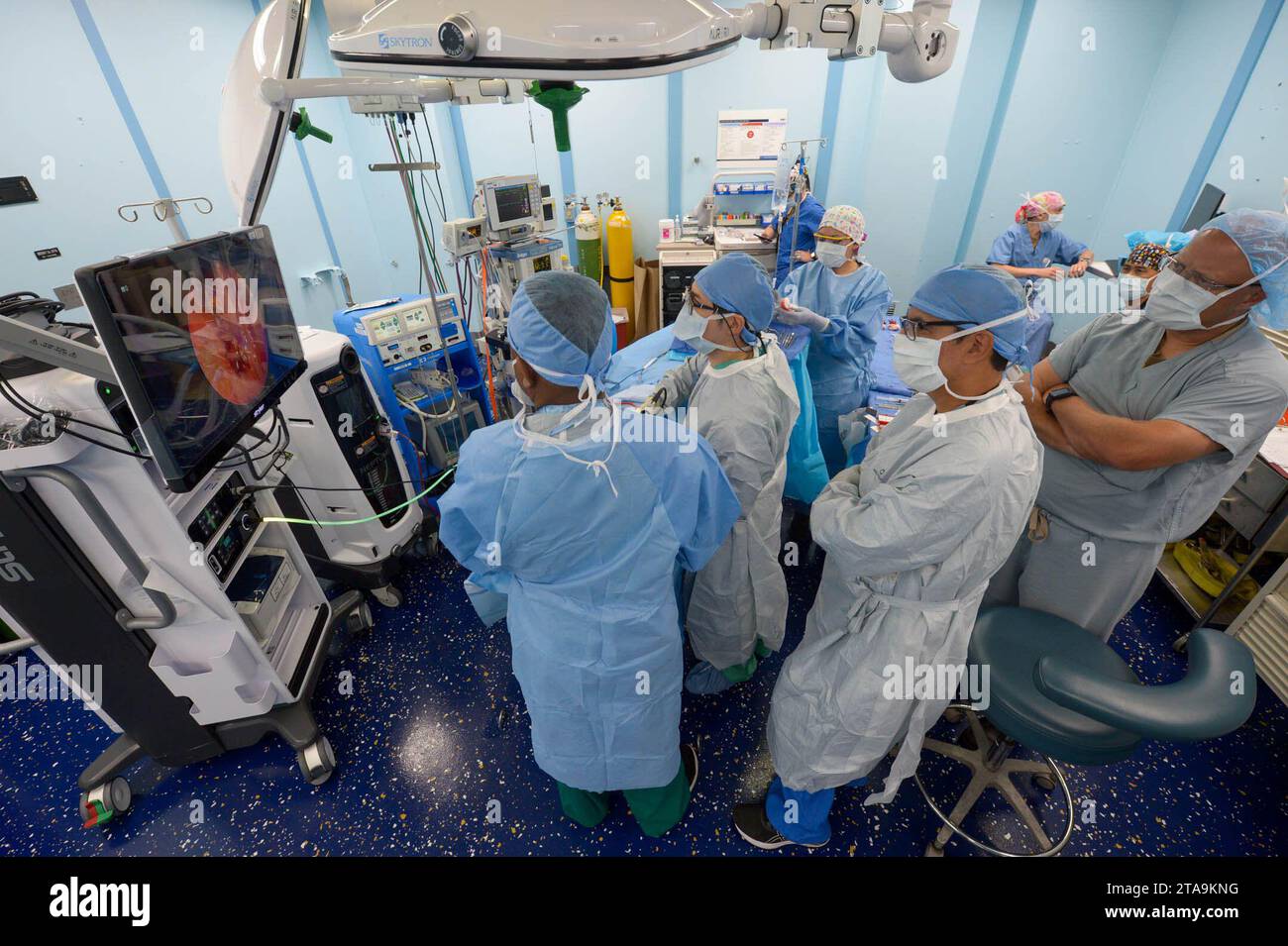 Mass fungal infection hi-res stock photography and images - Alamy