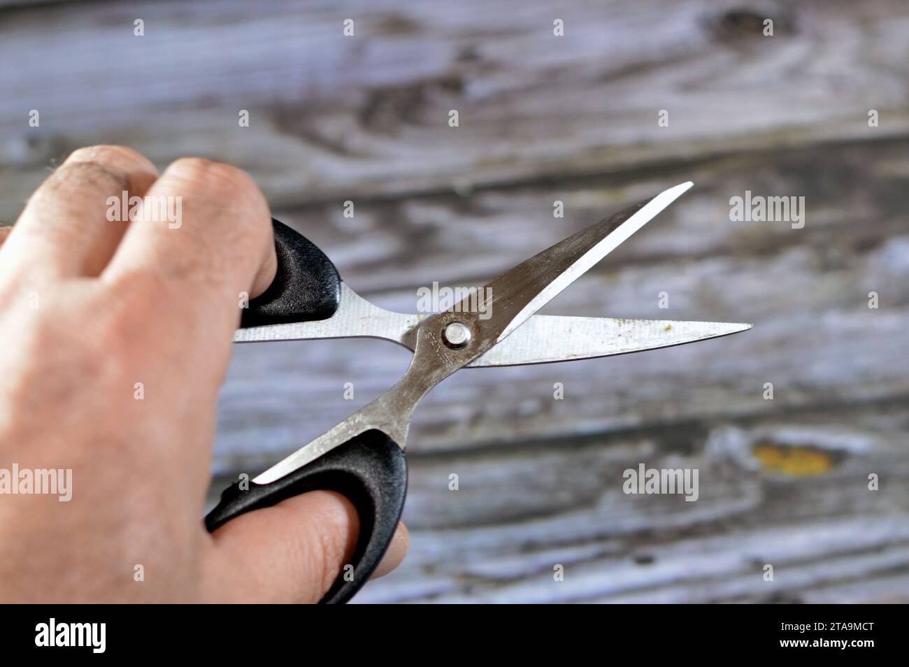 Stainless steel scissors, Scissors are hand-operated shearing tools, a ...