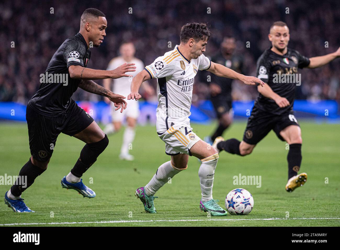 Natan napoli hi-res stock photography and images - Alamy
