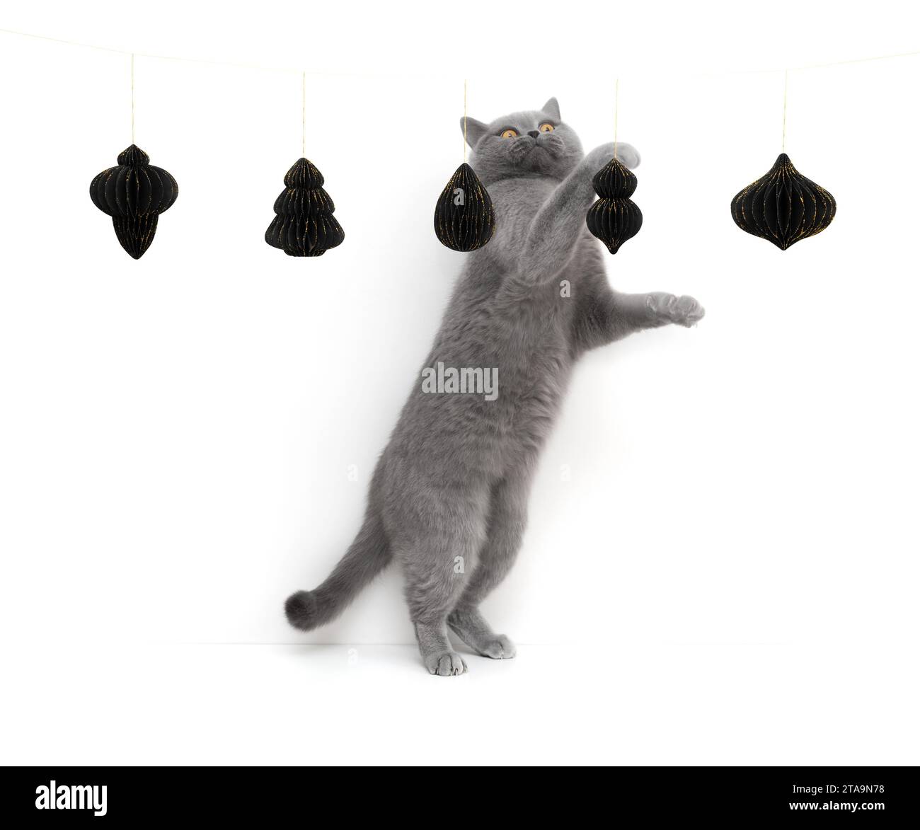 Christmas decoration cardboard diy Cut Out Stock Images & Pictures - Alamy