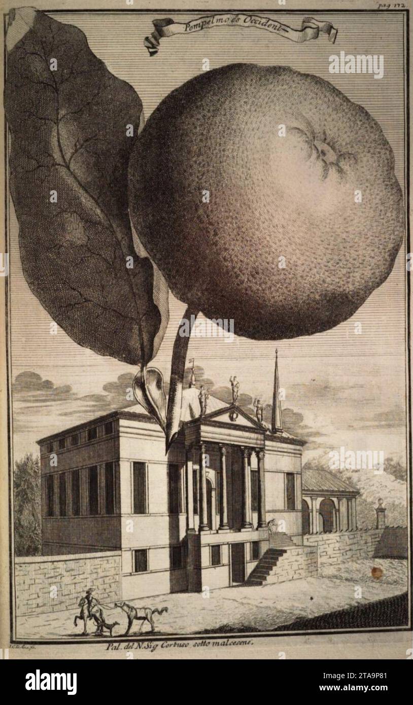 Disegno emo hi-res stock photography and images - Alamy