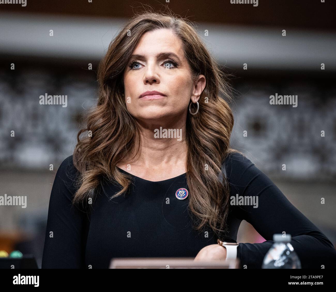 Washington, United States. 29th Nov, 2023. U.S. Representative Nancy ...