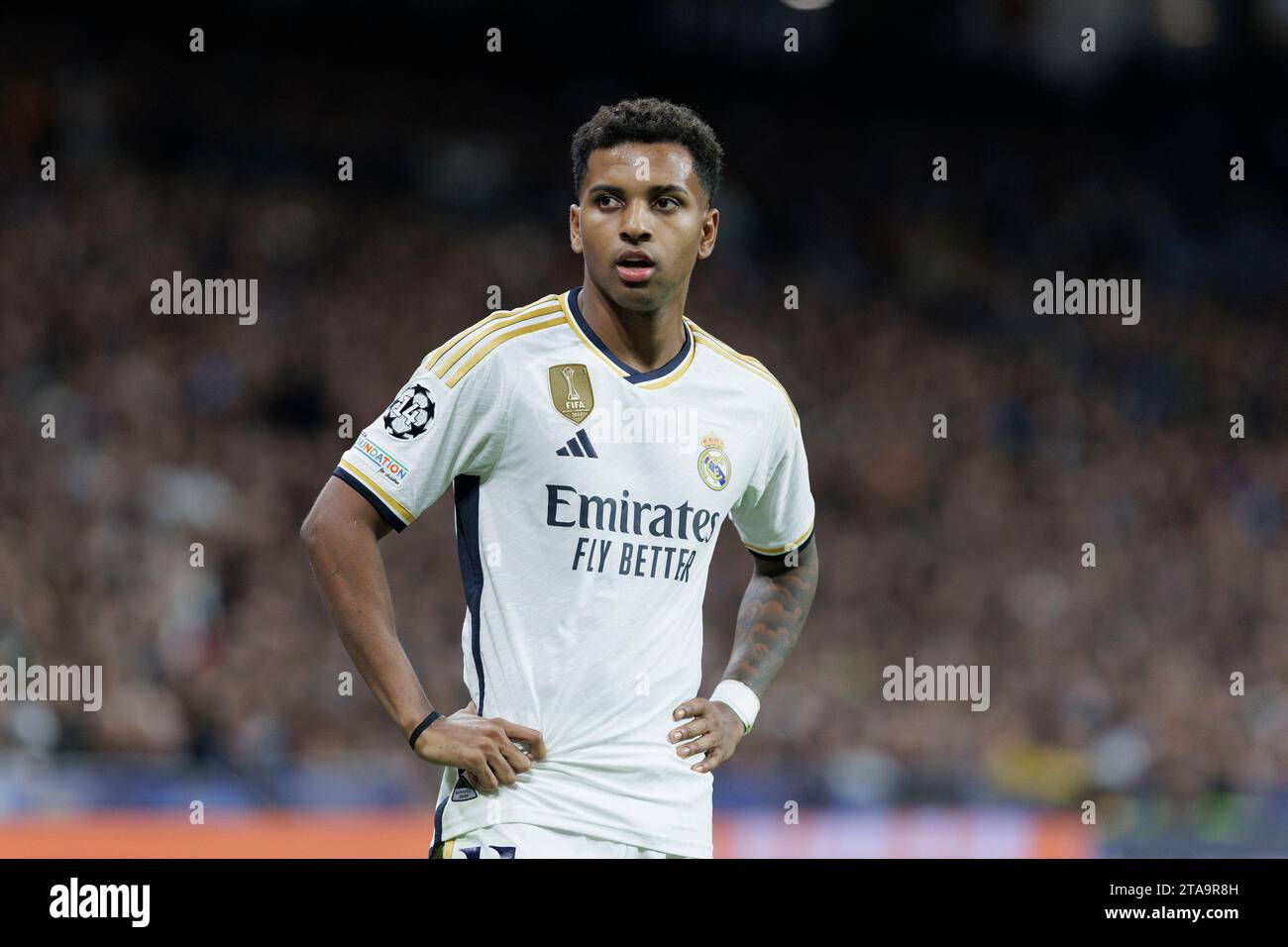 MADRID, SPAIN - NOVEMBER 29: Rodrygo Goes of Real Madrid during the ...