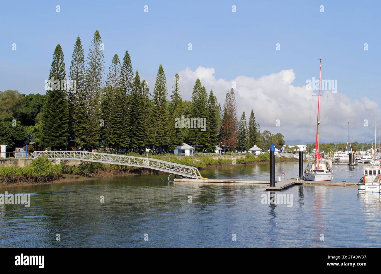 Ramp and pine trees at the Gladstone Marina in Queensland, Australia ...