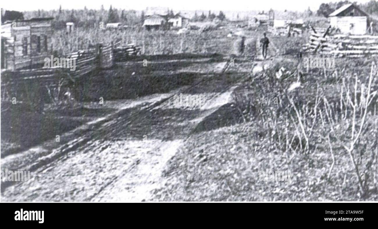 Village of Burt Lake, Michigan (1890 Stock Photo - Alamy