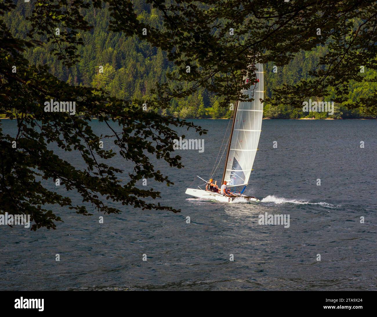 Person sailing catamaran on Lake Bohinj, Triglav National Park, Upper ...