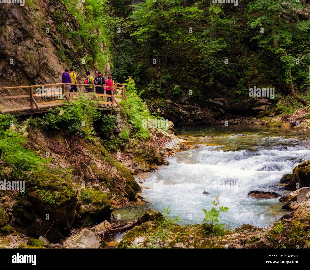 Radovna river in Vintgar Gorge, Bled, Upper Carniola, Slovenia Stock ...
