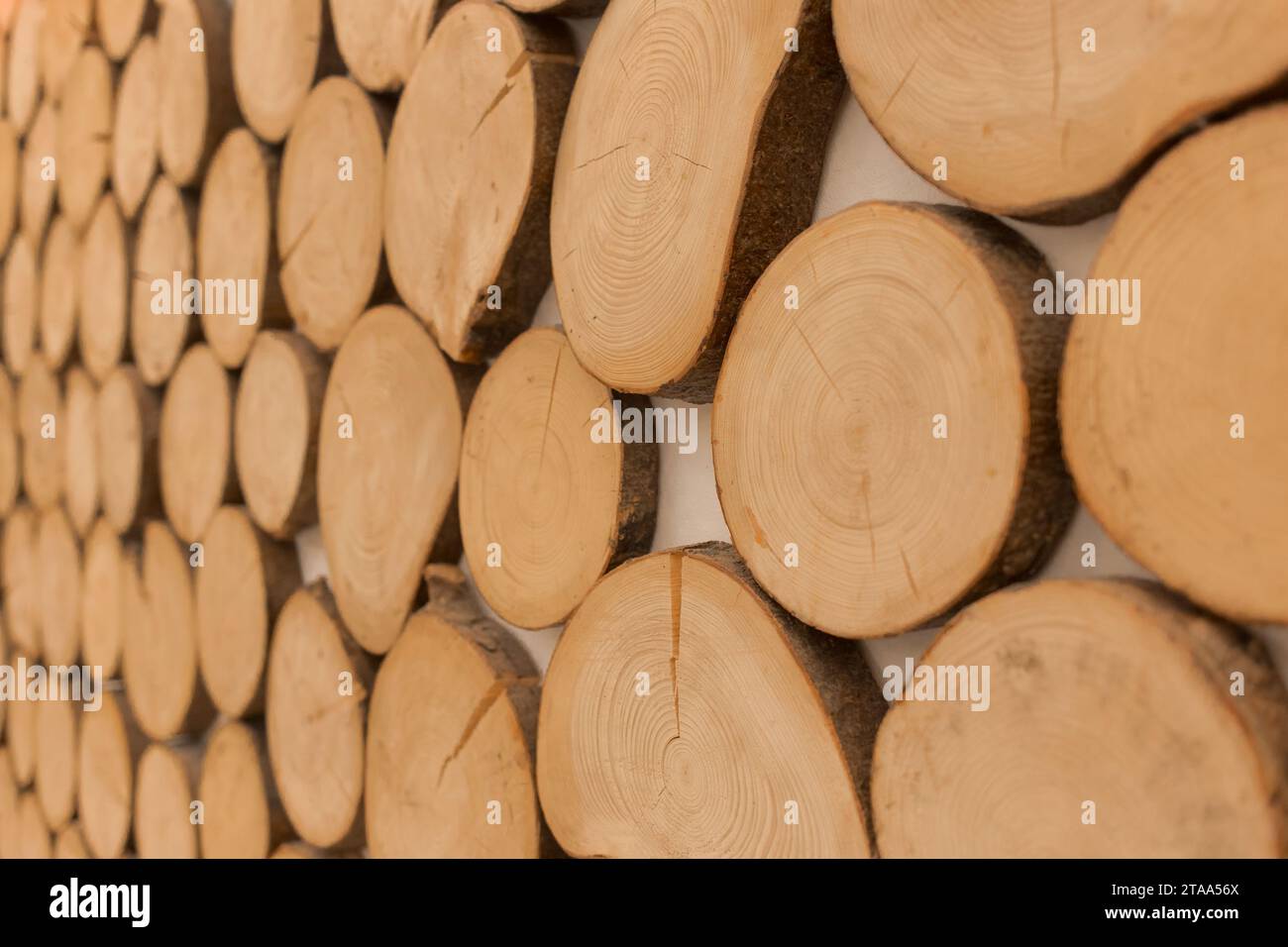 Timber round annual wooden rings, logs tree wood interior decoration ...