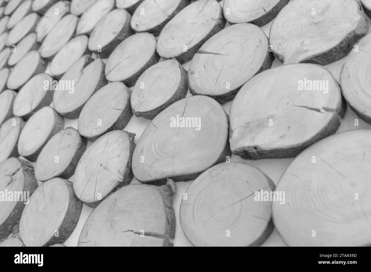 Timber round annual wooden rings, logs tree wood interior grey ...