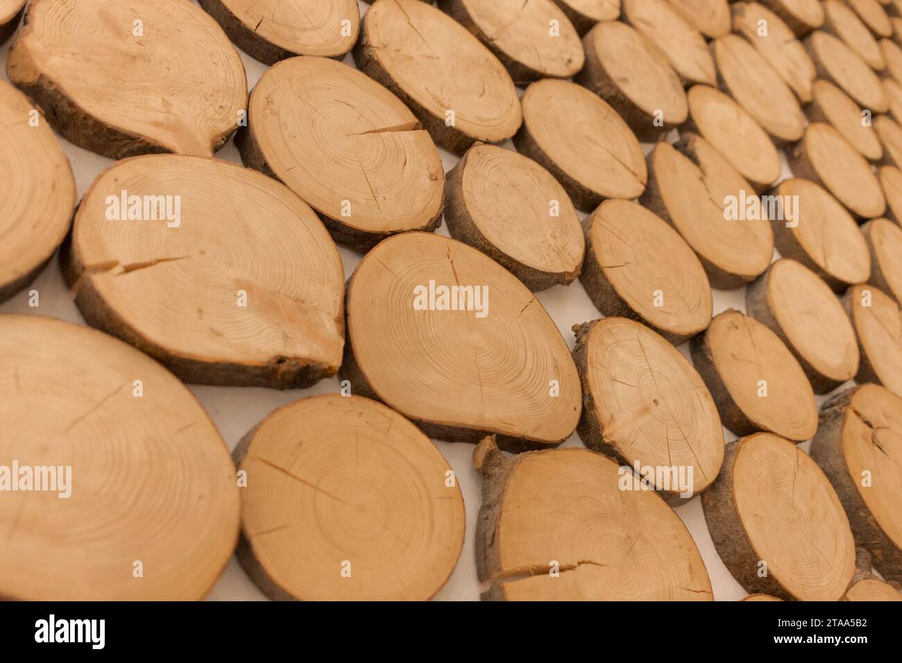 Timber round annual wooden rings, logs tree wood interior brown ...