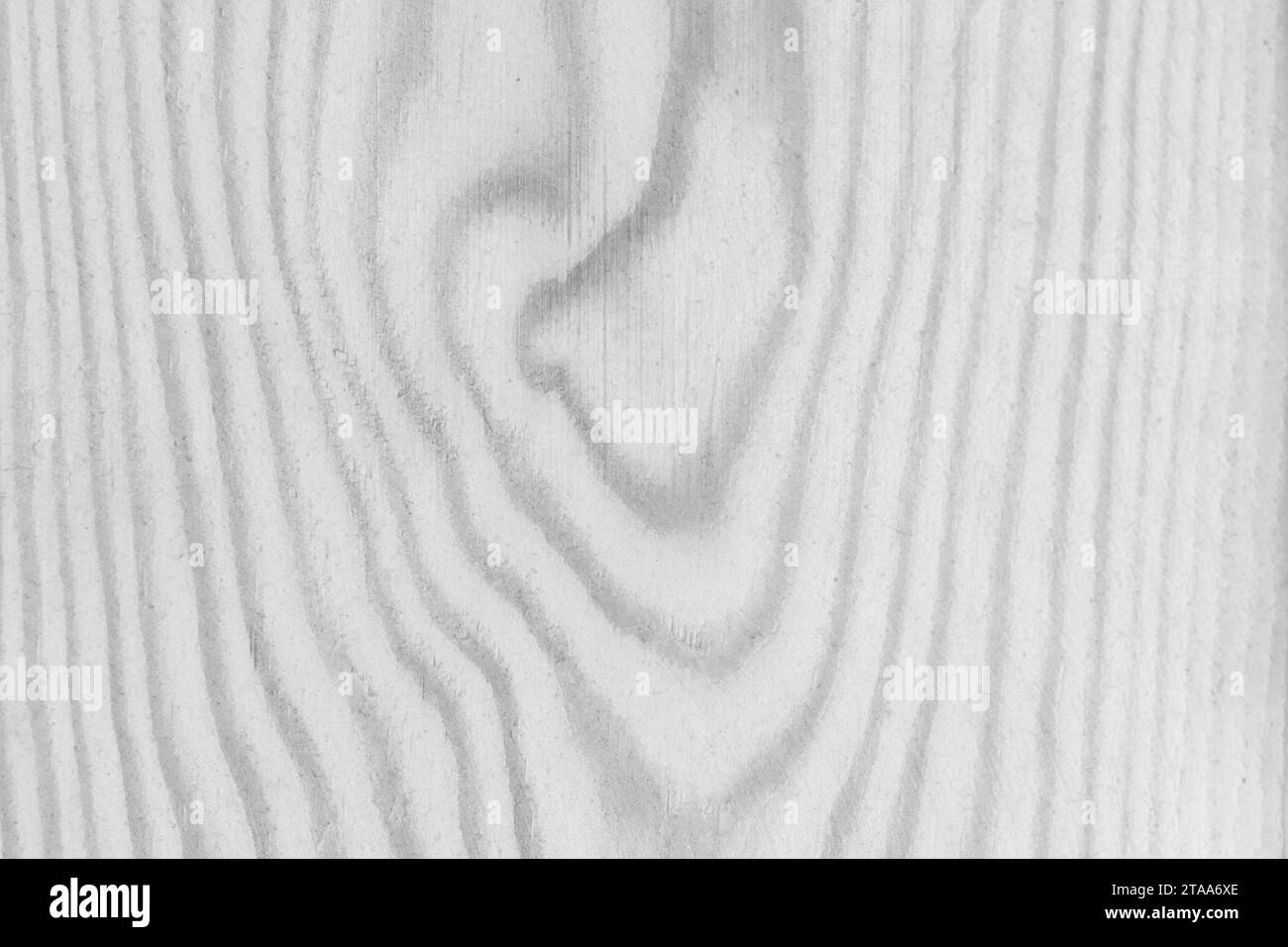 Light White Wooden Table Floor Texture Abstract Natural Pattern Wood ...