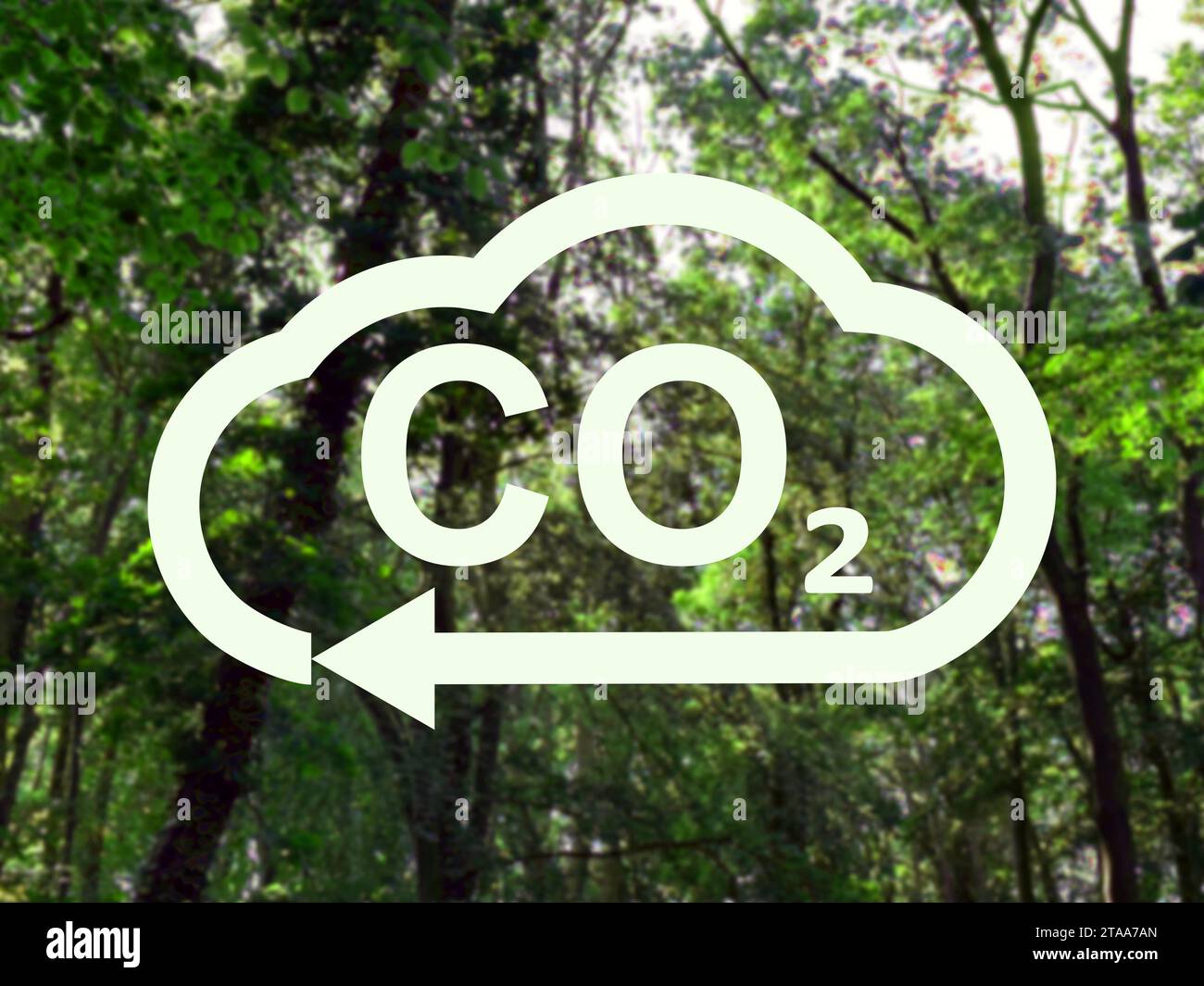 Concept of clear air. CO2 inscription in illustration of cloud with ...