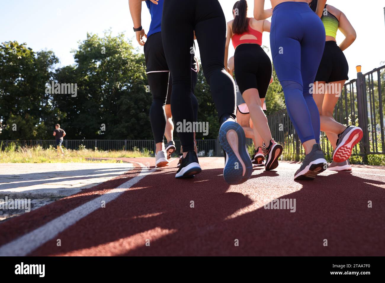 Group of people running at stadium on sunny day, back view. Space for ...