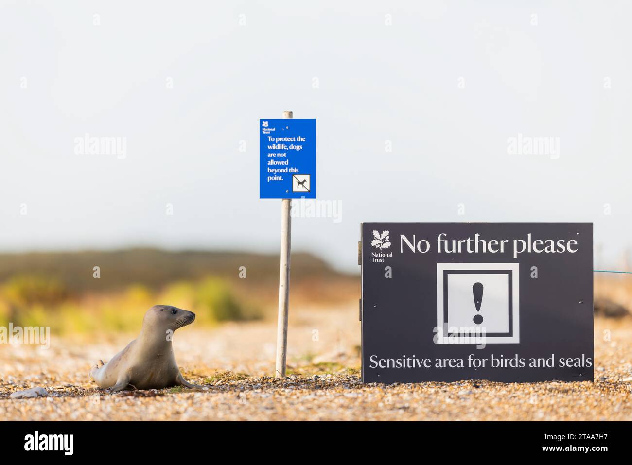 Please do not touch seal hi-res stock photography and images - Alamy