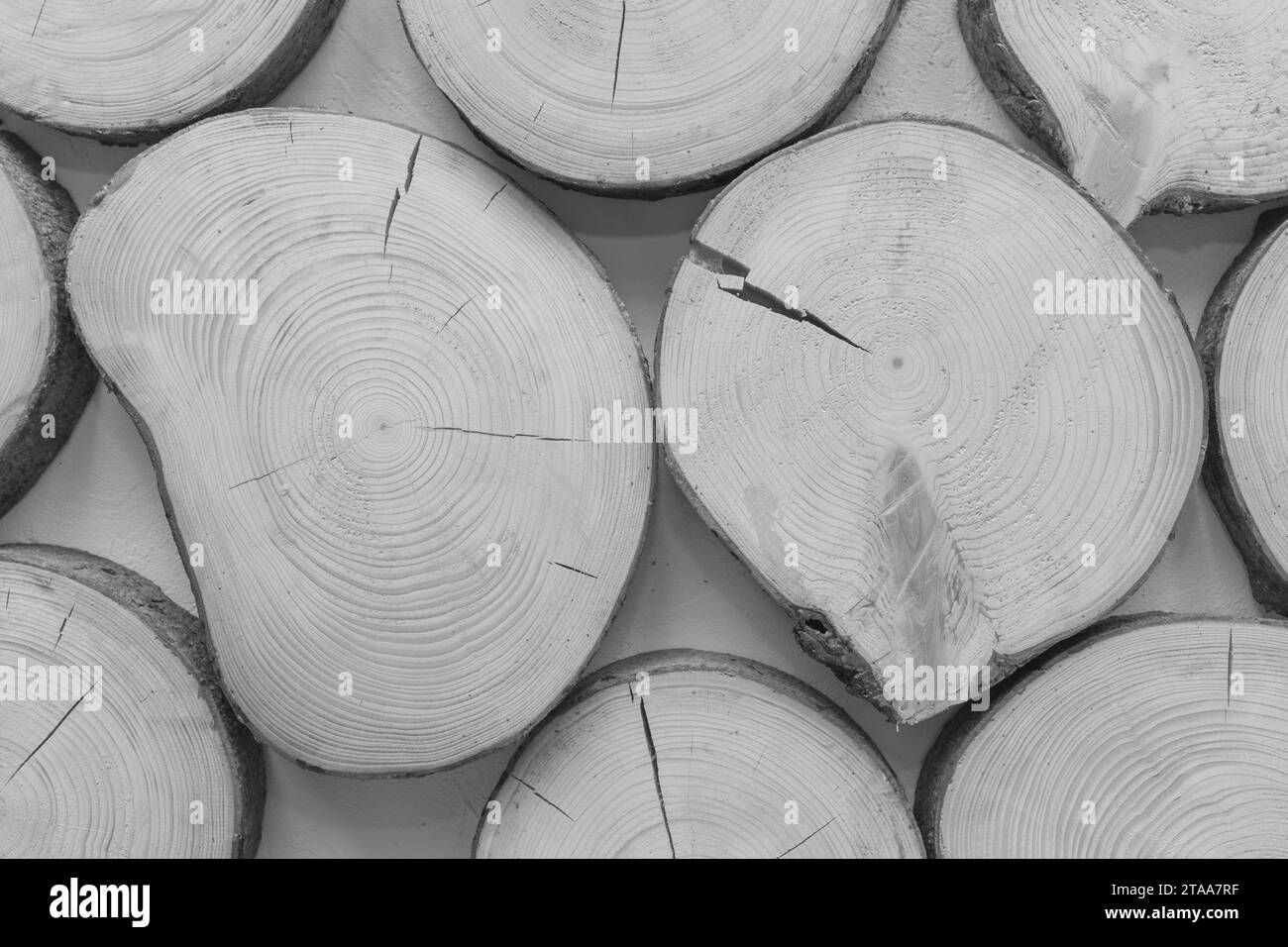 Wood ring pattern Black and White Stock Photos & Images - Alamy