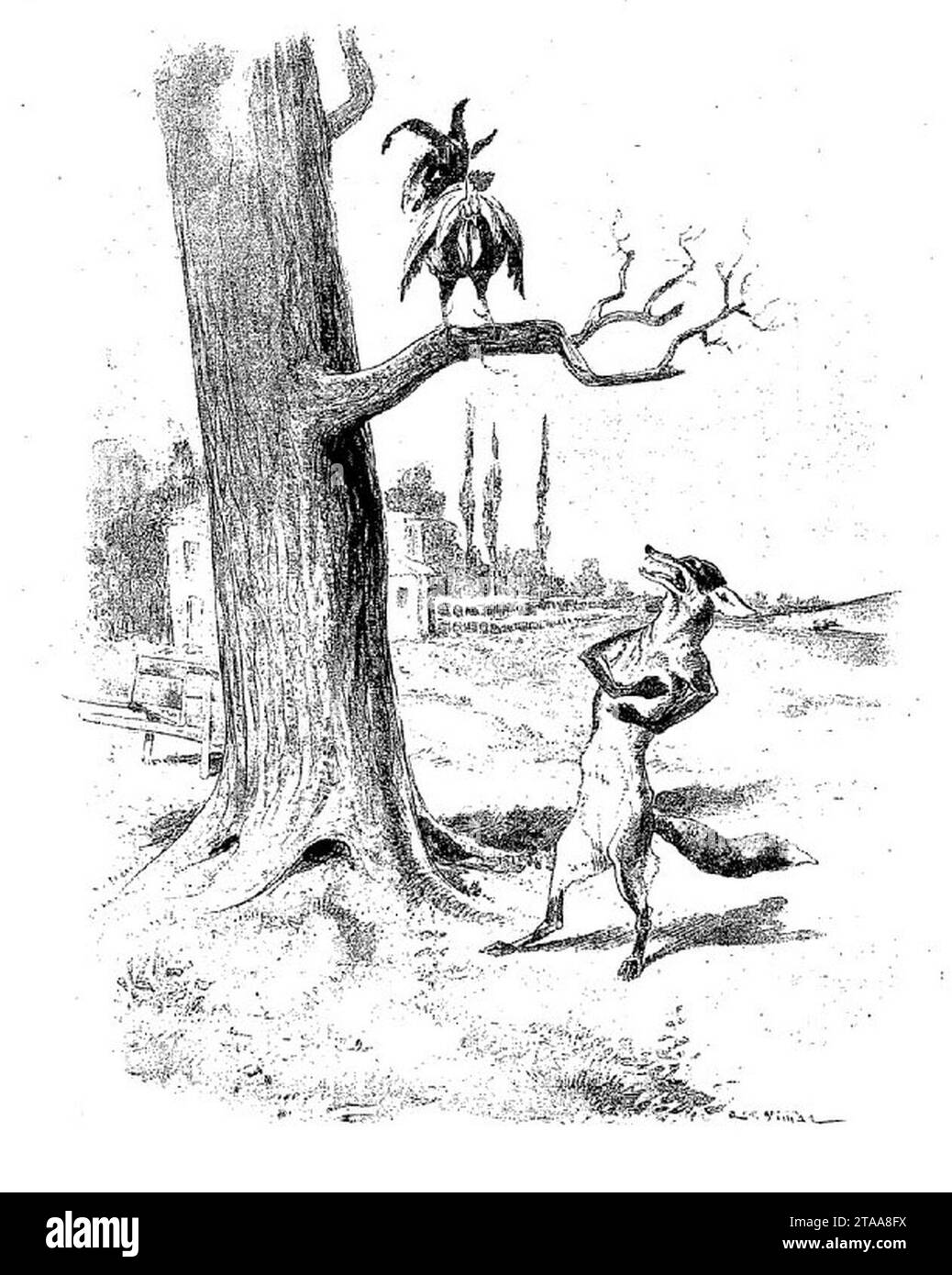 Le renard et le coq hi-res stock photography and images - Alamy