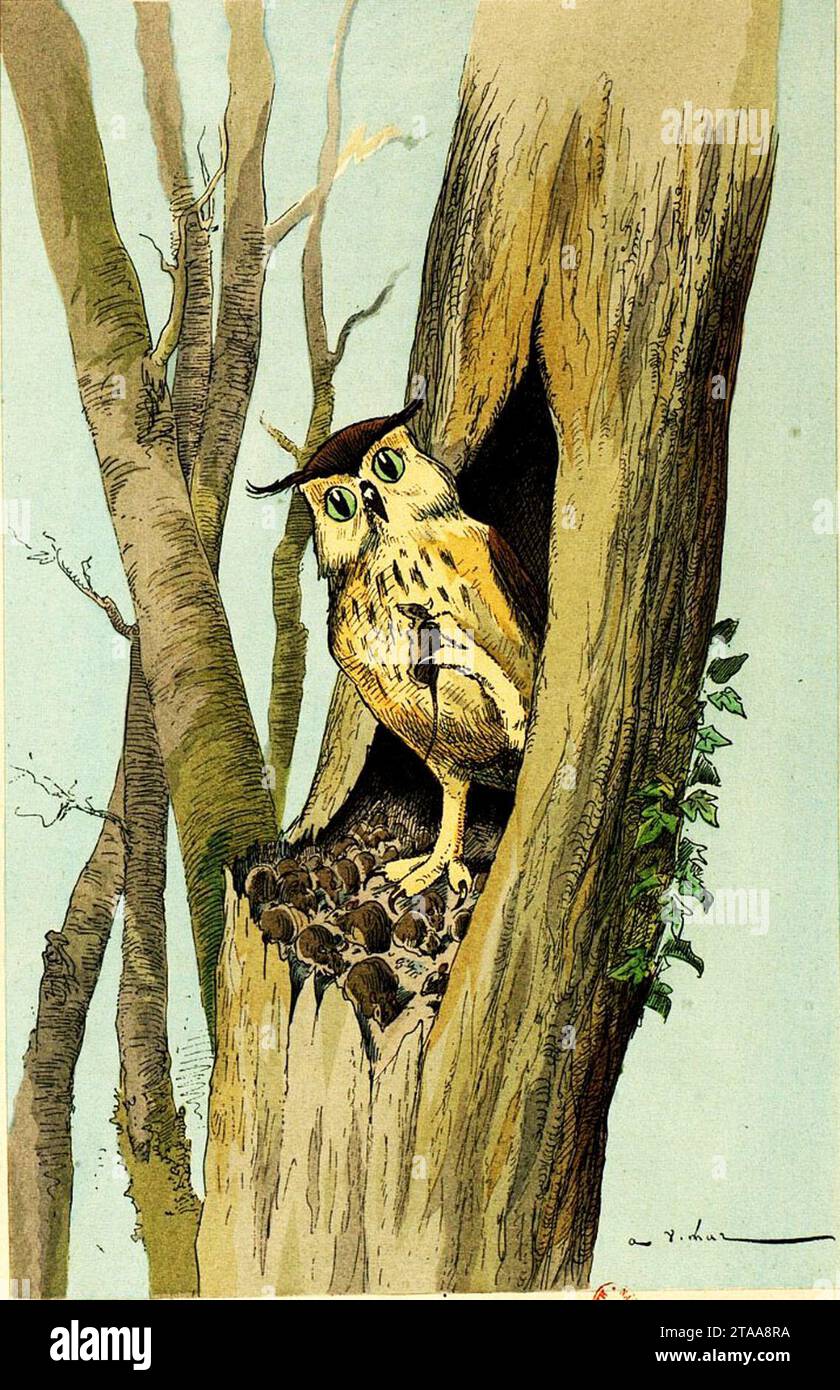 Vimar - Fables de La Fontaine - 11-08. Les Souris et le Chat-huant ...