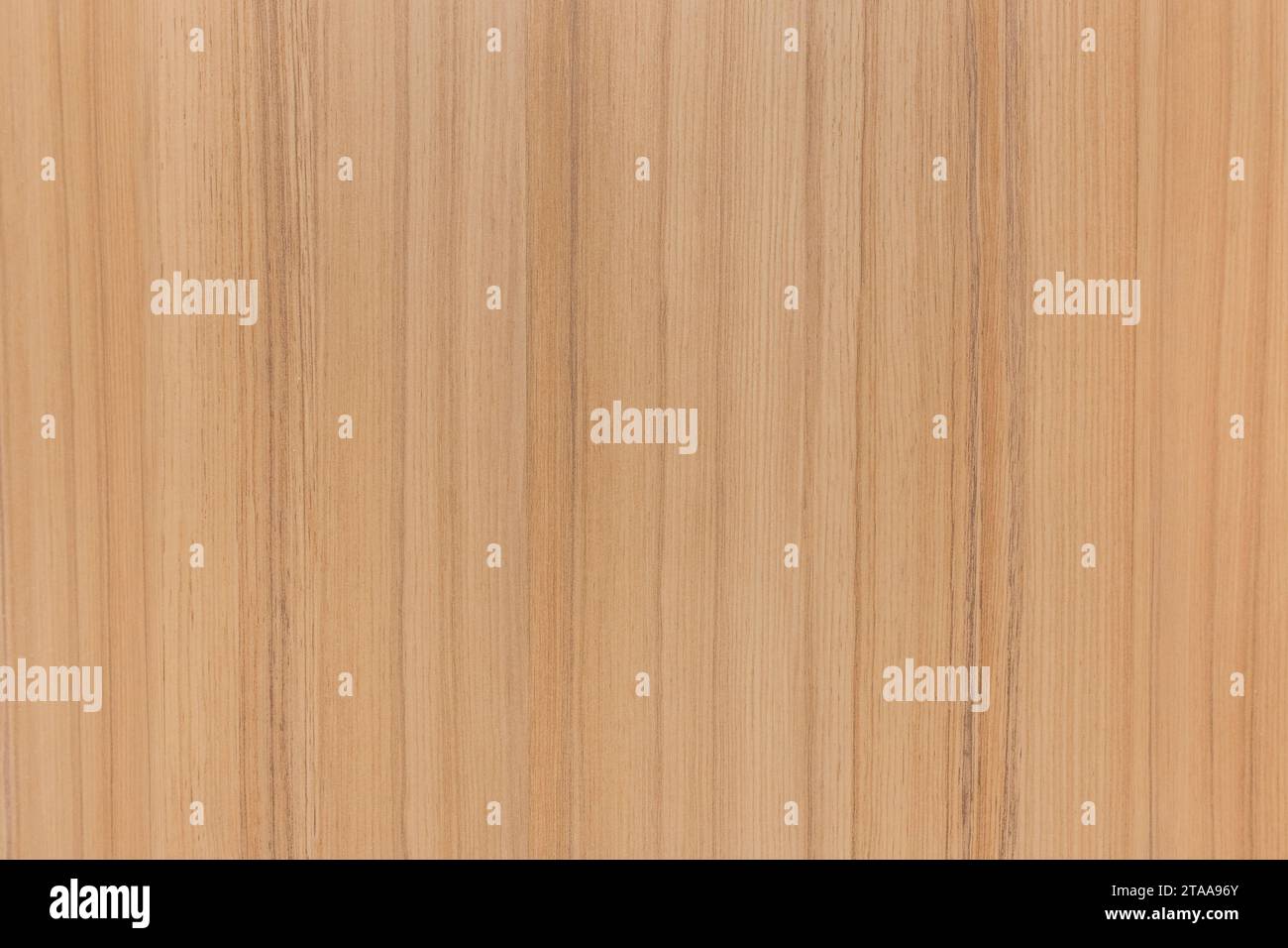Light natural oak wood texture hi-res stock photography and images - Alamy