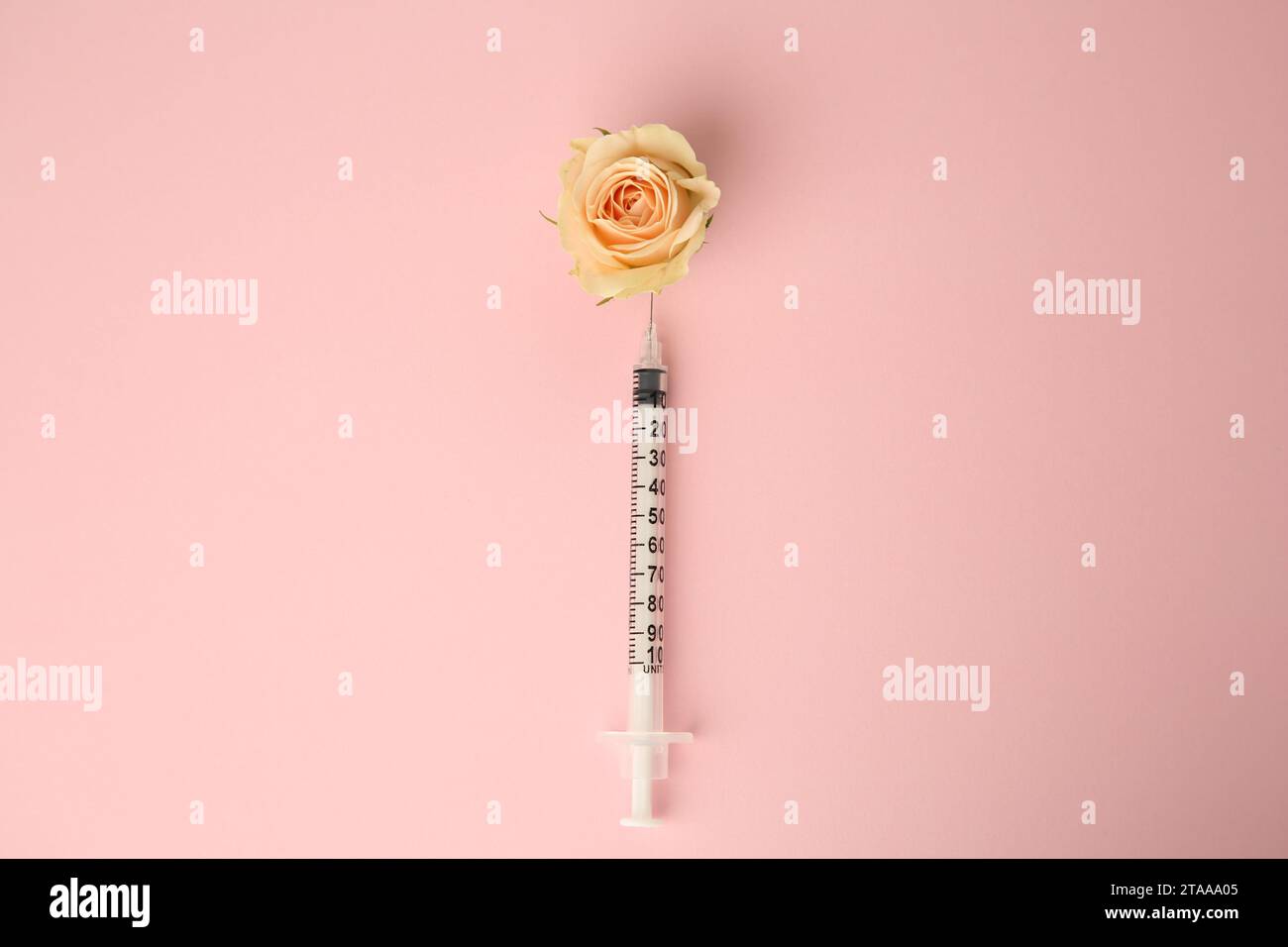 Medical syringe and beautiful rose on light pink background, top view ...