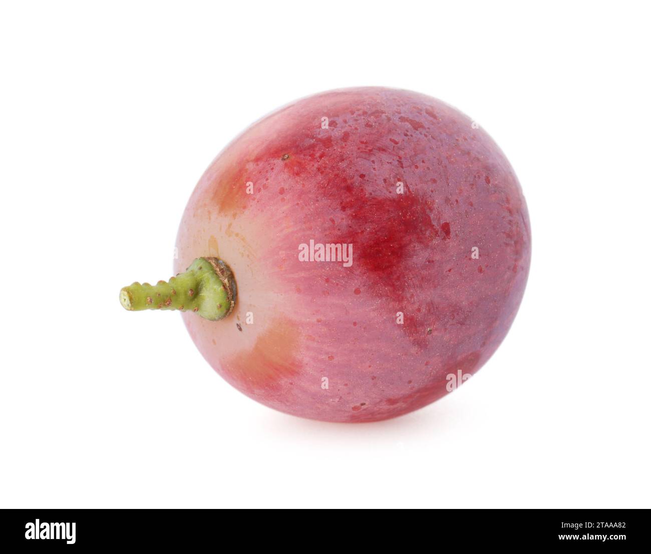 One ripe red grape Cut Out Stock Images & Pictures - Alamy