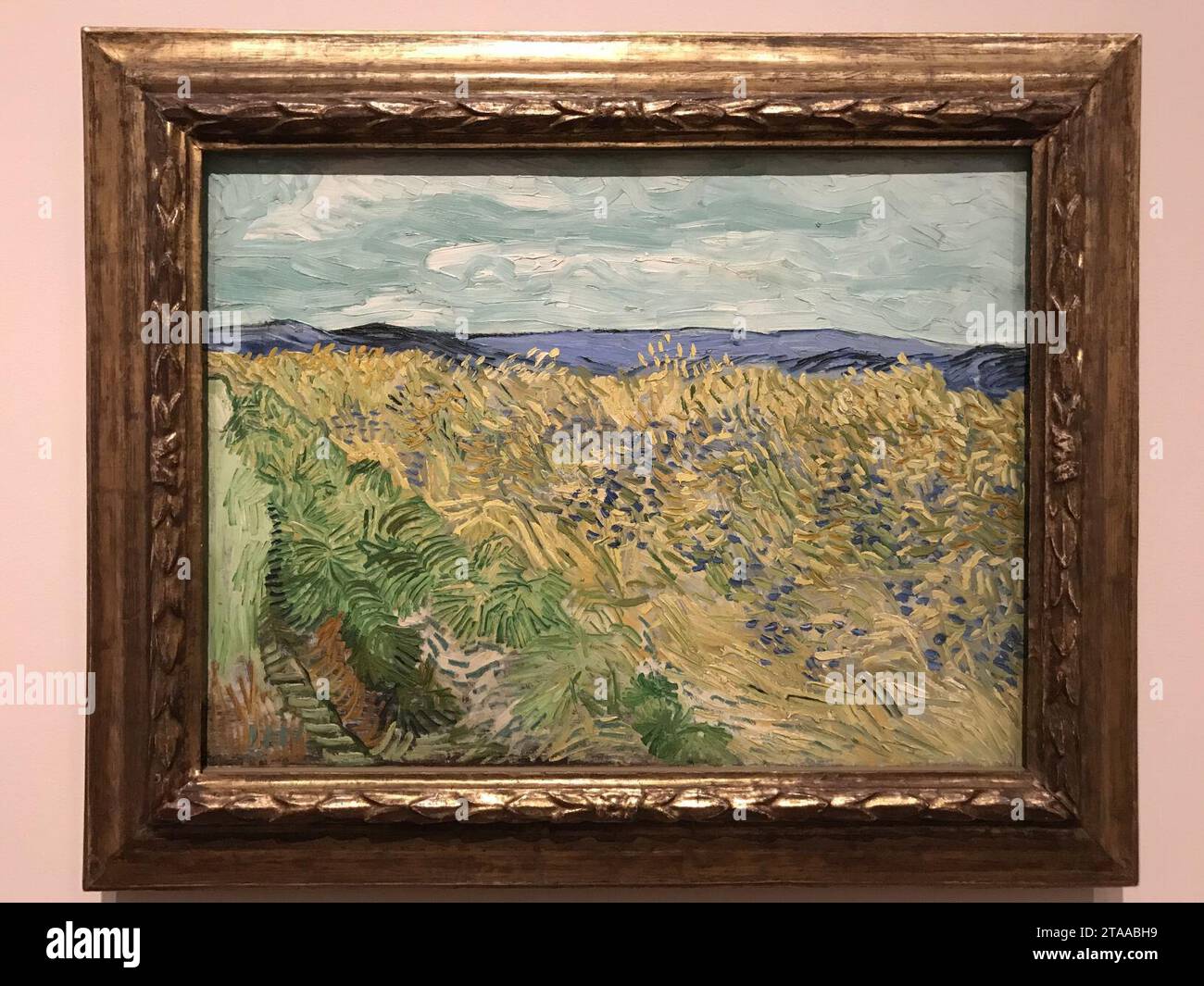 Vincent van Gogh - Korenveld (Van Gogh & Japan Stock Photo - Alamy