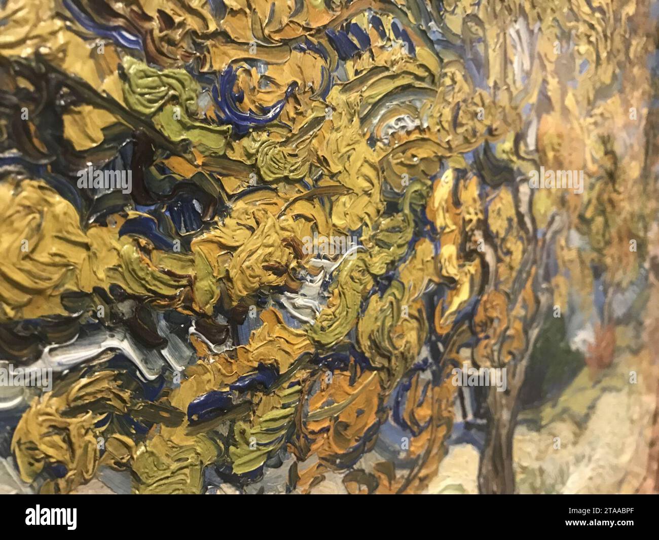 Mulberry tree van gogh hi-res stock photography and images - Alamy